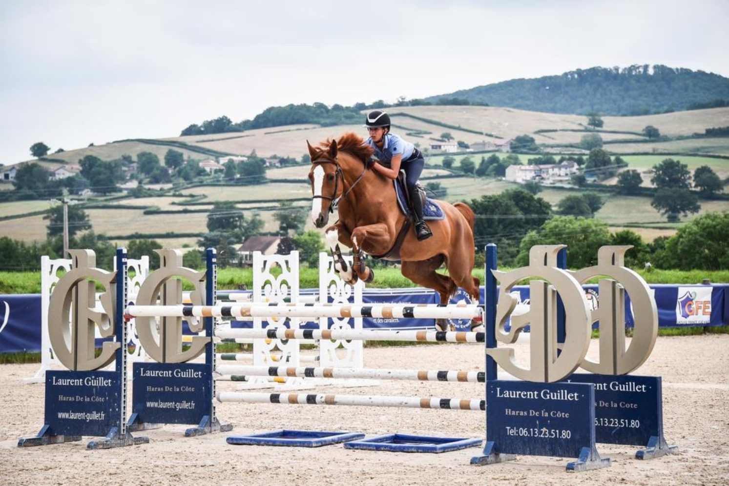Les chevaux de compétition – Haras de la Côte – Laurent Guillet