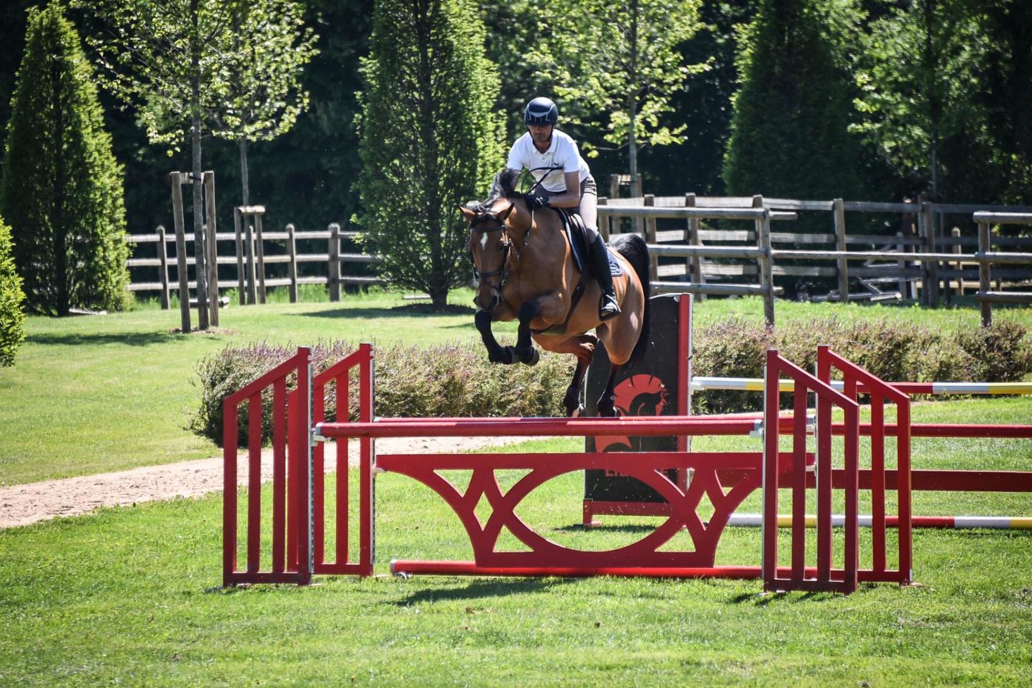Les chevaux de compétition – Haras de la Côte – Laurent Guillet